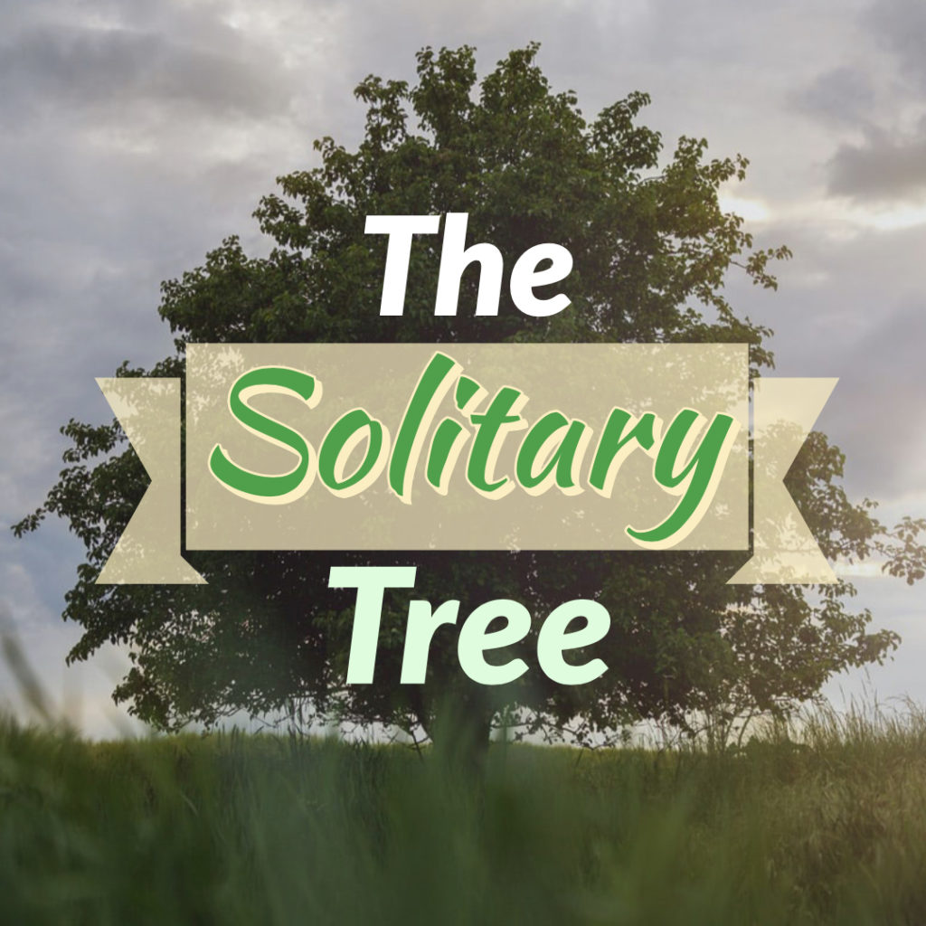 The Solitary Tree – HJDThree